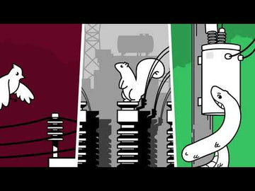 Protect Power Lines with the Line Guard from Critter Guard