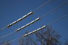 Protect Power Lines with the Line Guard from Critter Guard