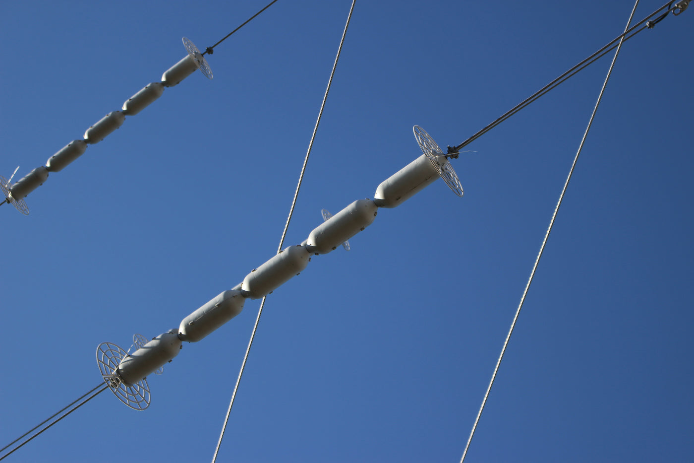 Protect Power Lines with the Line Guard from Critter Guard