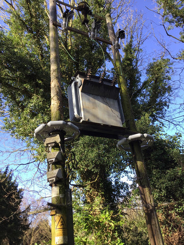 Utility Pole Guards Prevent Squirrel Access to Power Lines