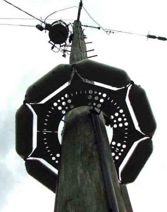 Utility Pole Guards Prevent Squirrel Access to Power Lines