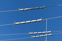Protect Power Lines with the Line Guard from Critter Guard